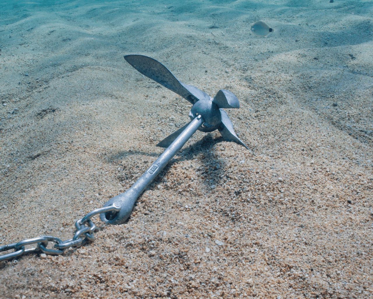 Boating Mini-Courses Anchoring with Assurance - CanBoat / NautiSavoir